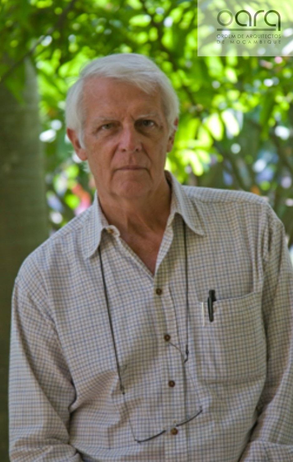 José Forjaz (1936-2024) | OA - Notícias